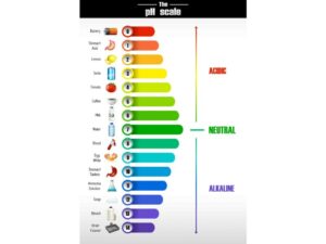 ¿Qué es el pH Fisiológico y pH Neutro?